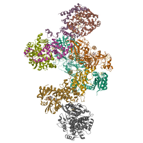 RCSB PDB - 7BKD: Formate dehydrogenase - heterodisulfide reductase ...