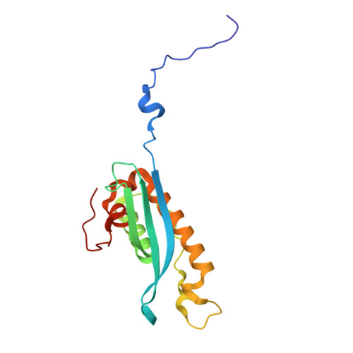 RCSB PDB - 7BLO: VPS26 dimer region of metazoan membrane-assembled ...