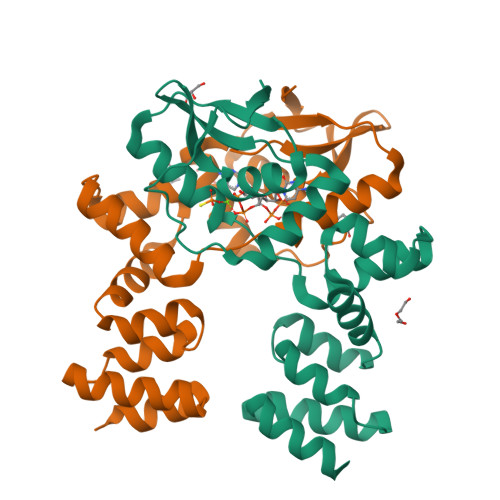 RCSB PDB - 7BNK: Crystal structure of ParB from Myxococcus xanthus ...