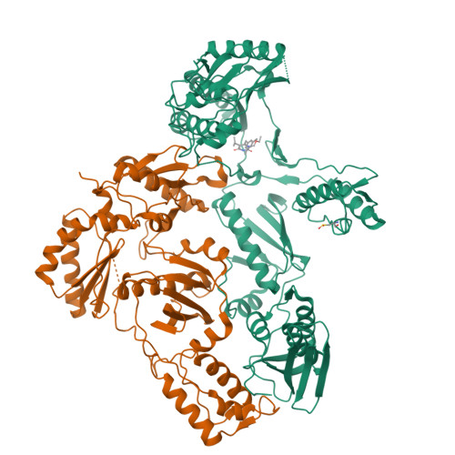 RCSB PDB - 1C1B: CRYSTAL STRUCTURE OF HIV-1 REVERSE TRANSCRIPTASE IN ...