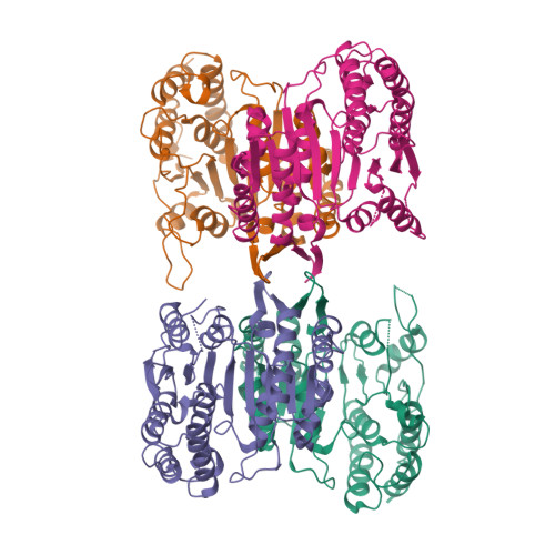 RCSB PDB - 7CE3: Crystal structure of human IDH3 holoenzyme in APO form.
