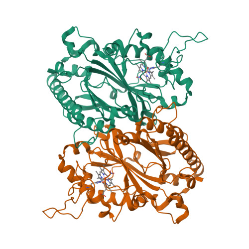 RCSB PDB: Homepage