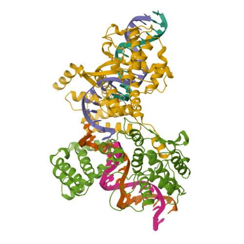 RCSB PDB - 1CRX: CRE RECOMBINASE/DNA COMPLEX REACTION INTERMEDIATE I