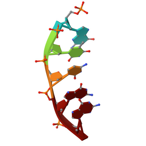 RCSB PDB - 6CR3: Ternary complex crystal structure of DNA polymerase ...
