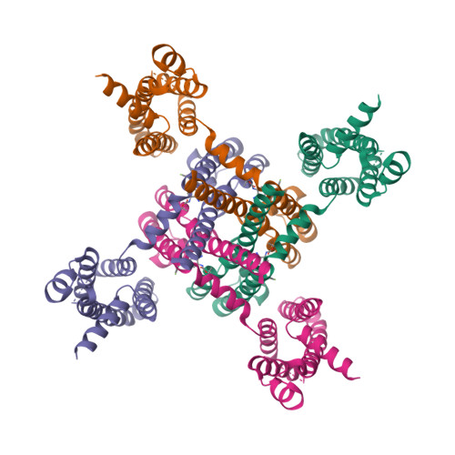 RCSB PDB - 7CR2: human KCNQ2 in complex with retigabine