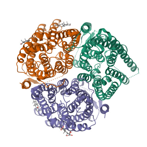 RCSB PDB - 8CSX: Local refinement of RhAG/CE trimer in class 2 of ...