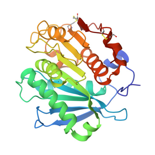 RCSB PDB - 7CTS: Open form of PET-degrading cutinase Cut190 with ...