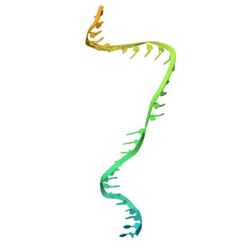 RCSB PDB - 8CTL: IscB and wRNA bound to Target DNA (locked state)