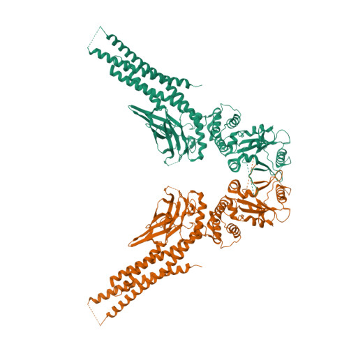 RCSB PDB - 8D3F: Crystal structure of human STAT1 in complex with the ...