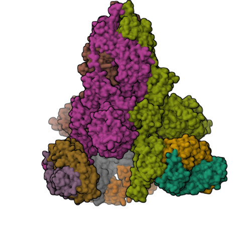 RCSB PDB - 7DCC: S-3C1-F3b structure, all the three RBDs are in the up ...