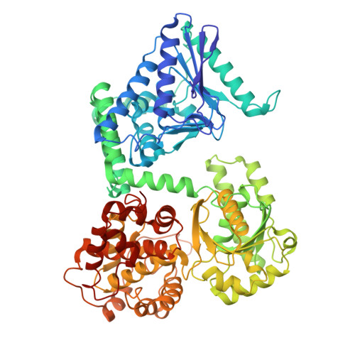 RCSB PDB - 6DV2: Crystal Structure of Human Mitochondrial Trifunctional ...