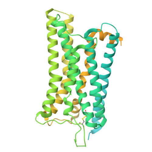RCSB PDB - 7DW9: Cryo-EM structure of human V2 vasopressin receptor in ...