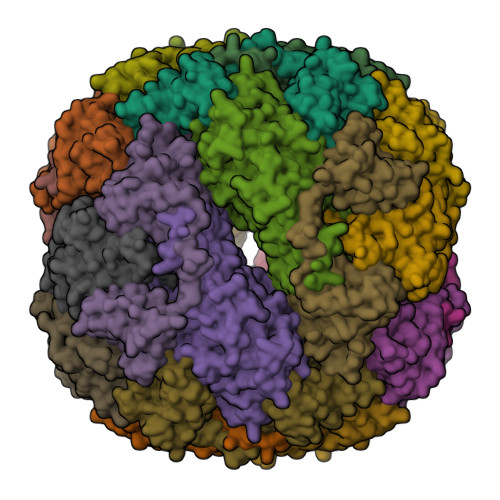 RCSB PDB - 1E9Z: Crystal structure of Helicobacter pylori urease
