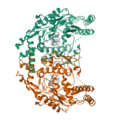 RCSB PDB - 3EAH: Structure of inhibited human eNOS oxygenase domain