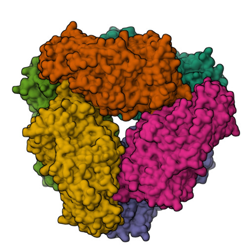 RCSB PDB - 7EAV: The X-ray crystallographic structure of glycogen ...