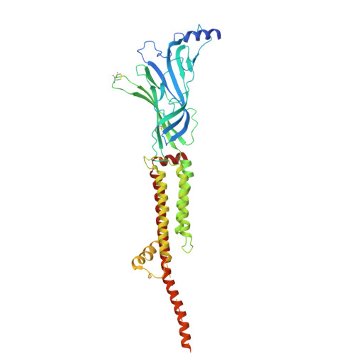 RCSB PDB - 7EKI: human alpha 7 nicotinic acetylcholine receptor in apo-form