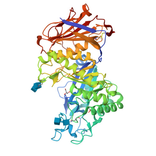 RCSB PDB - 7EYO: Crystal structure of leech hyaluronidase