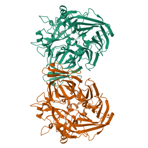 RCSB PDB - 4F3D: Structure of RPE65: P65 crystal form grown in Fos ...