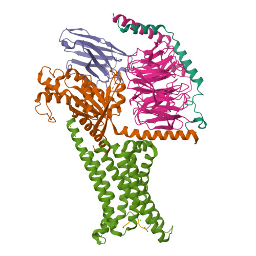 RCSB PDB - 7F4I: Cryo-EM structure of SHU9119-bound melanocortin-1 ...