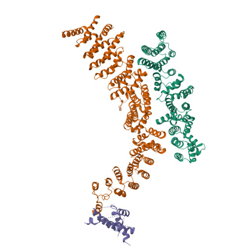 RCSB PDB - 7F4U: Cryo-EM structure of TELO2-TTI1-TTI2 complex