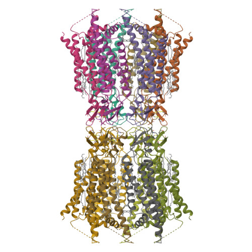 RCSB PDB - 7F92: Structure of connexin43/Cx43/GJA1 gap junction ...
