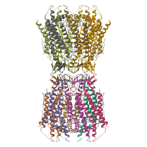 RCSB PDB - 7F93: Structure of connexin43/Cx43/GJA1 gap junction ...