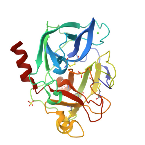 RCSB PDB - 7FAG: Room temperature structure of elastase with high ...