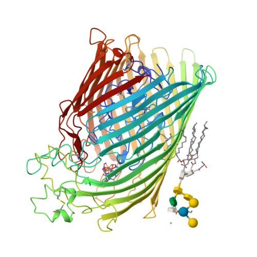 RCSB PDB - 1FCP: FERRIC HYDROXAMATE UPTAKE RECEPTOR (FHUA) FROM E.COLI ...