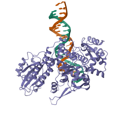 RCSB PDB - 1FOK: STRUCTURE OF RESTRICTION ENDONUCLEASE FOKI BOUND TO DNA