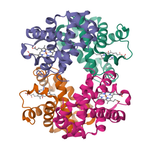 RCSB PDB - 1G08: CARBONMONOXY LIGANDED BOVINE HEMOGLOBIN PH 5.0