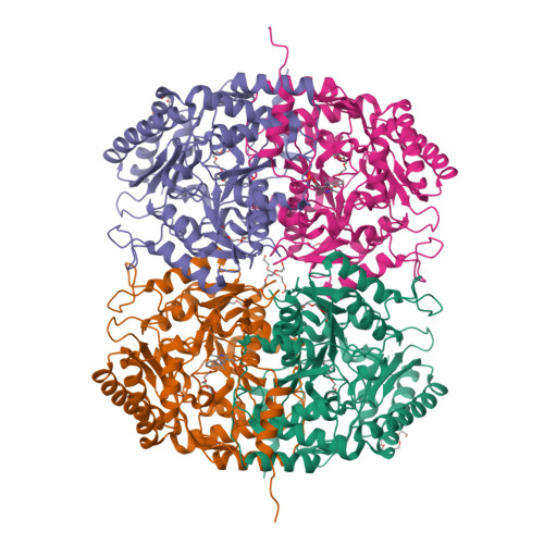 RCSB PDB - 5G09: The crystal structure of a S-selective transaminase ...