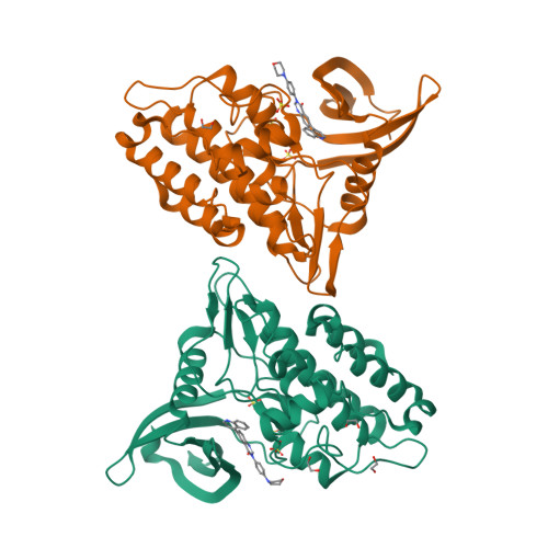 RCSB PDB - 6GIN: Crystal structure of the ACVR1 (ALK2) kinase in ...
