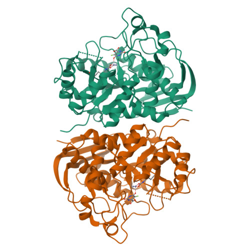 RCSB PDB - 6HG2: Hybrid dihydroorotase domain of human CAD with E. coli ...