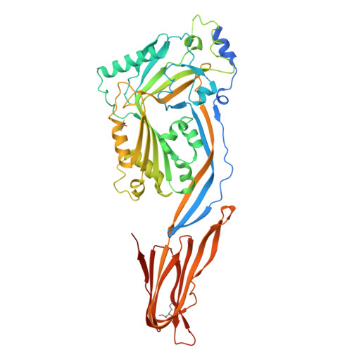 RCSB PDB - 3HVN: Crystal structure of cytotoxin protein suilysin from ...