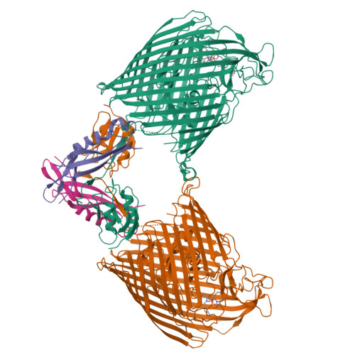RCSB PDB - 6I97: Structure of the ferrioxamine B transporter FoxA from ...