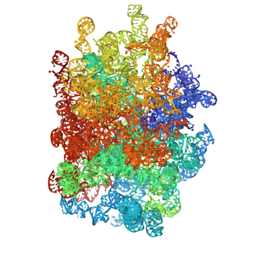 RCSB PDB - 3J92: Structure and assembly pathway of the ribosome quality ...