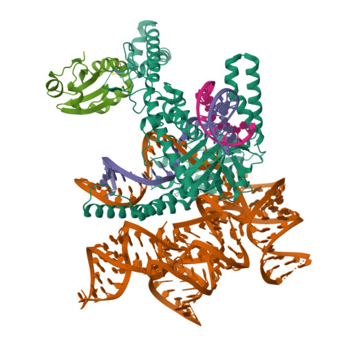 RCSB PDB: Homepage