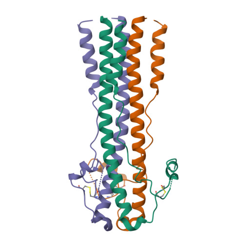 RCSB PDB - 6JGY: Crystal structure of LASV-GP2 in a post fusion ...