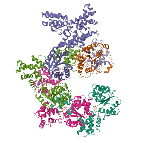 RCSB PDB - 7JPO: ORC-O1AAA: Human Origin Recognition Complex (ORC) with ...