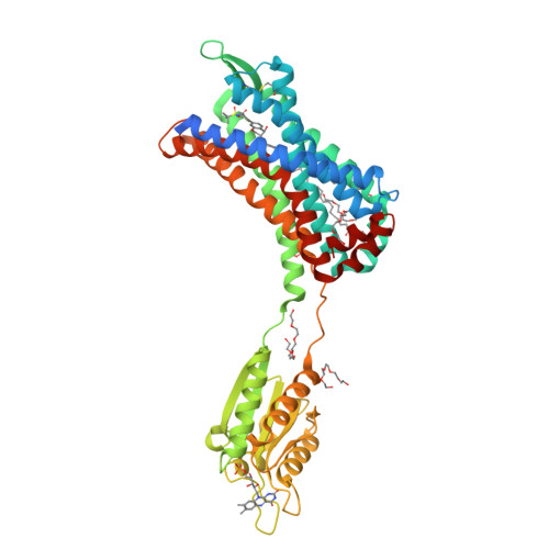 RCSB PDB - 7K15: Crystal structure of the Human Leukotriene B4 Receptor ...