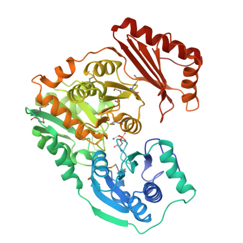 RCSB PDB - 1K35: Crystal Structure of Phosphomannomutase ...