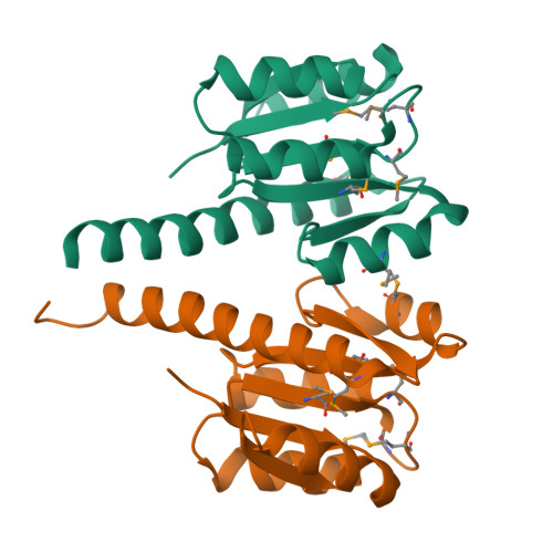 RCSB PDB - 3KCN: The crystal structure of adenylate cyclase from ...