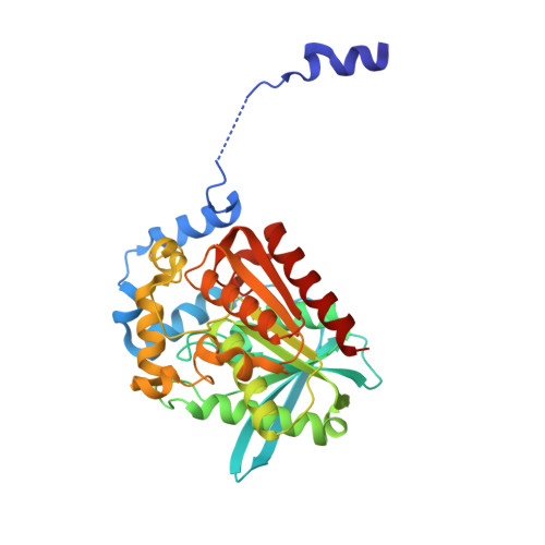 RCSB PDB - 6KMO: Crystal structure of a novel esterase CinB from ...