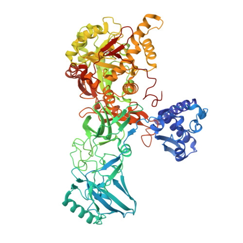 RCSB PDB - 7KNS: Cryo-EM structure of jack bean urease