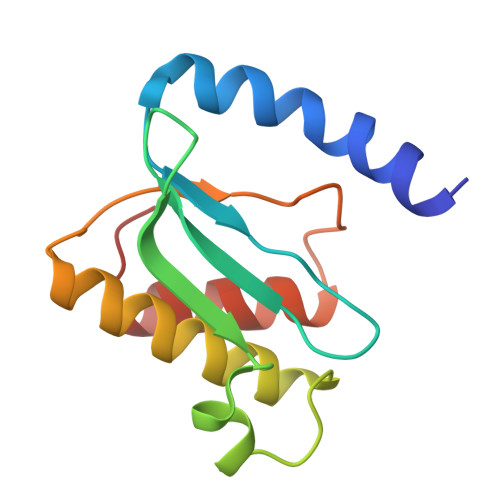 RCSB PDB - 5KPS: Structure of RelA bound to ribosome in absence of A/R ...