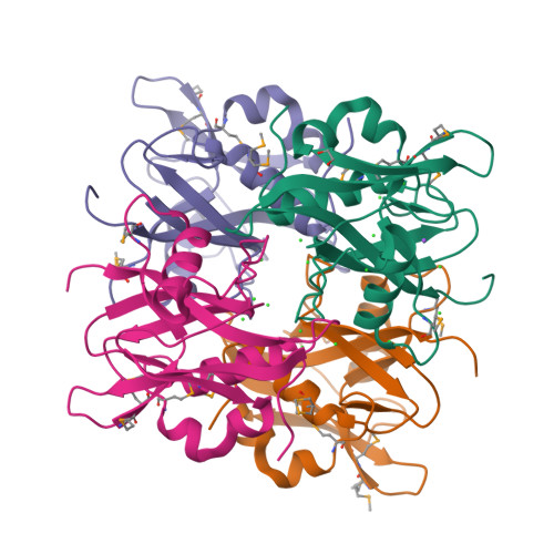 RCSB PDB - 4KTB: The crystal structure of posible asymmetric ...