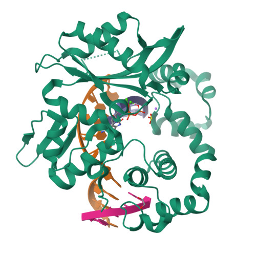 RCSB PDB - 7KTA: DNA Polymerase Mu, 8-oxodGTP:Ct Pre-Catalytic Ground ...