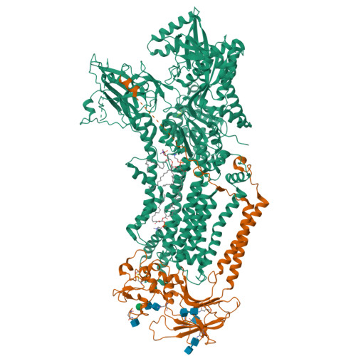 RCSB PDB - 7KYC: Structure of the S. cerevisiae phosphatidylcholine ...