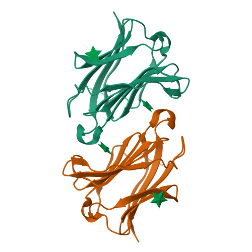 RCSB PDB - 6L6C: X-ray structure of human galectin-10 in complex with D ...