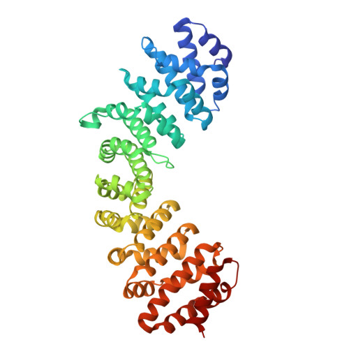 RCSB PDB - 7LEU: Structure of importin a2 bound to p65-NLS